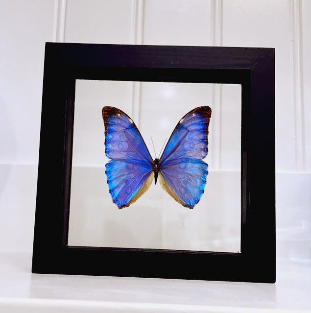Other Accents – WOLF & WILLOW PNW Gallery